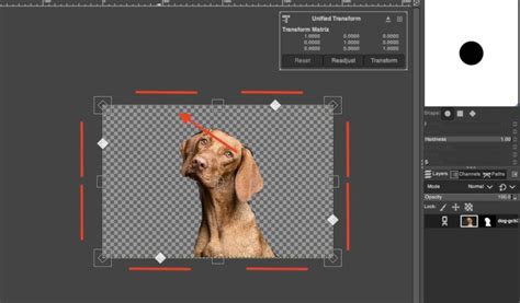 How To Rotate Transform An Image In GIMP Complete Guide Edits 101