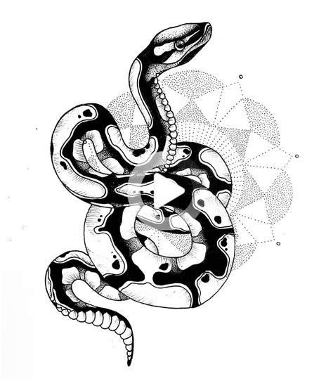 Ball Python Clipart Black And White Burmese Python Drawing Snakes Ball Python Burmese Python