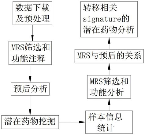 一种骨肉瘤转移相关基因signature研究及潜在药物挖掘方法与流程