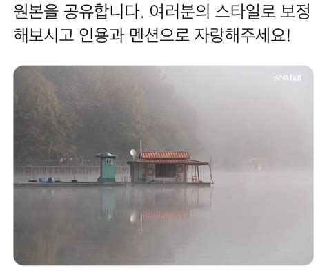 천하제일 합성대회 유머 움짤 이슈 에펨코리아