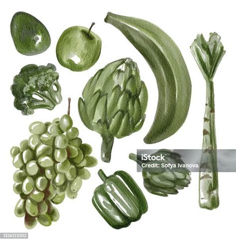녹색 야채와 과일의 수채화 손 그리기 세트 바나나 사과 아보카도 포도 브로콜리 피망 셀러리 아티초크 카드 엽서 인쇄물 포스터 메뉴 레스토랑 섬유에 사용 0명에 대한 스톡