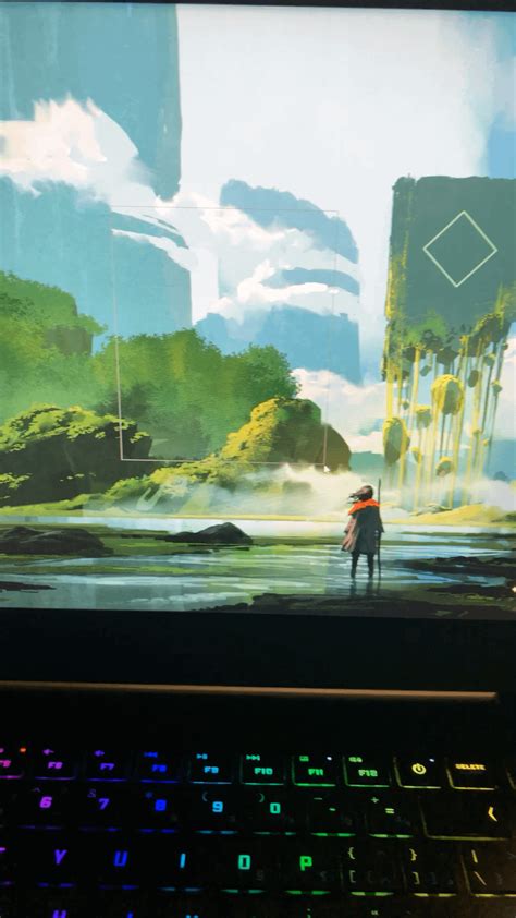 Blue Selection Box Not Showing Rwindows11