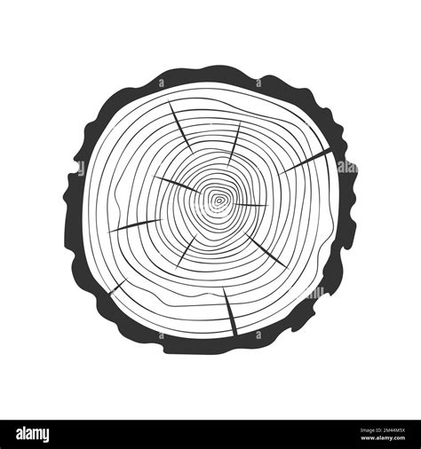 Tree Rings In Doodle Style Hand Drawn Trunk Cross Section Texture