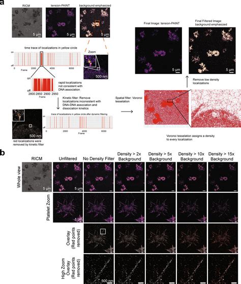 Schematic Showing The Filtering Algorithm And Effect Of Filtering On