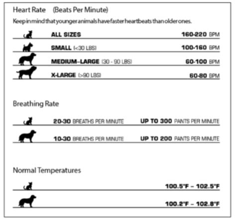 Exam Flashcards Quizlet