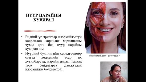 L 2Булчингийн тогтолцоо Youtube