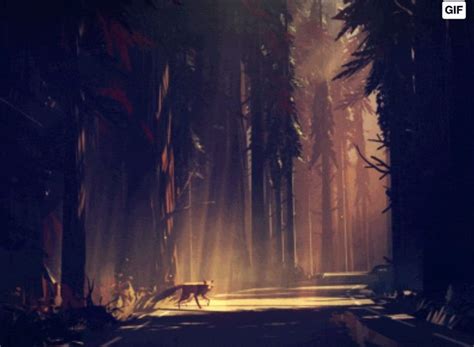 Sun Shining Through Trees On Dark Road Firewatch  Forest 