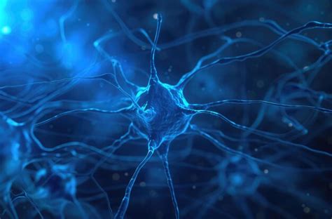 Premium Photo Abstract Neural Network Synapse Connectivity Illustration