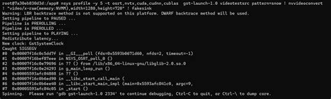 Nsys Profile In Deepstream Container Profiling Linux Targets Nvidia