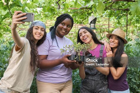 네 명의 다민족 여성 농부들이 토마토 묘목을 들고 셀카를 찍습니다 셀카에 대한 스톡 사진 및 기타 이미지 셀카 야채 가든 4 명 Istock