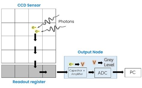 Camera Sensor Technologies An Overview
