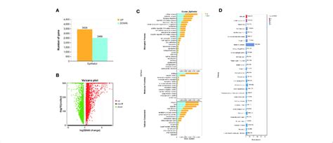 Difference Comparison Between Mibc And Nmibc A The Number Of