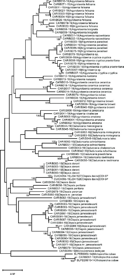 Neighbor Joining Nj Tree Inferred Using The Neighbor Joining Method