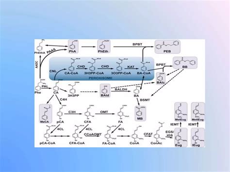 Volatile Organic Compounds Pptx