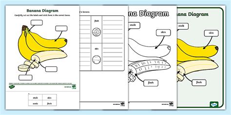 Banana Diagram Activity Pack Teacher Made Twinkl