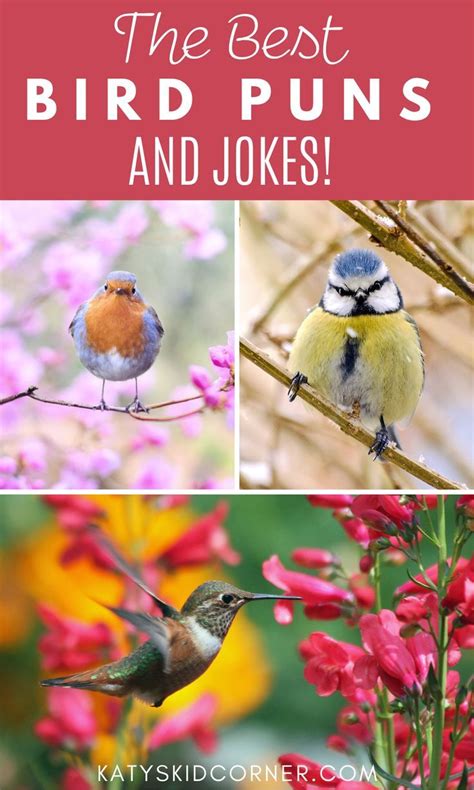 Bird Puns Artofit