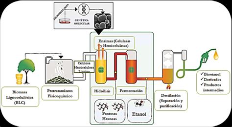 Figura 2 Esquema De La Producción Global De Bioetanol De Segunda