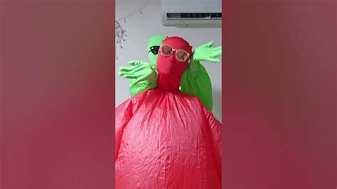 오초적지 꽃챌린지인척 목꺾어버리기 Ep 37fat Chub Suits풍선옷 Youtube