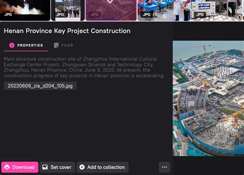 Main Asset Of A Collection Picvario