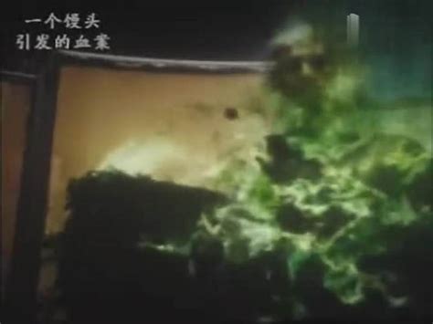 「胡戈作品」一个馒头引发的血案 太搞笑了汽车车评好看视频