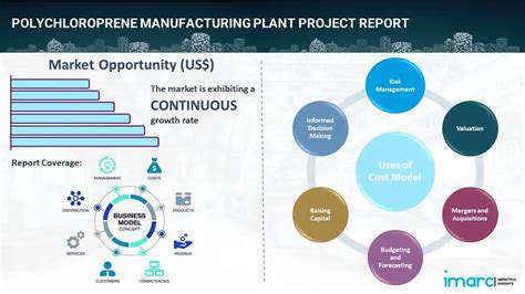 Polychloroprene Manufacturing Plant Report Setup And Cost