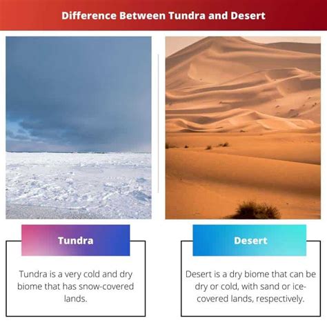 Difference Between 2024 And 2024 Tundra Vonni Johannah