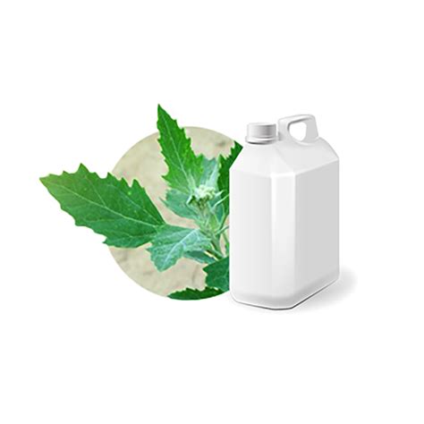 Защита от сорняков (гербициды) ─ купить семена овощей в интернет ...