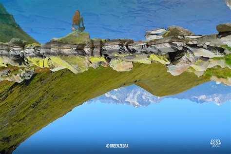 როდის მოვა აქ არბენის და Green Zebra • მწვანე ზებრა