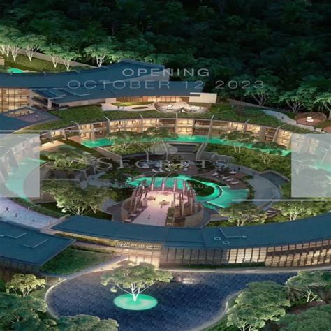 [video] Ivonne Anderson Posted On Linkedin