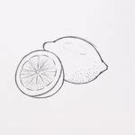 How To Draw A Lemon Easy Step By Step