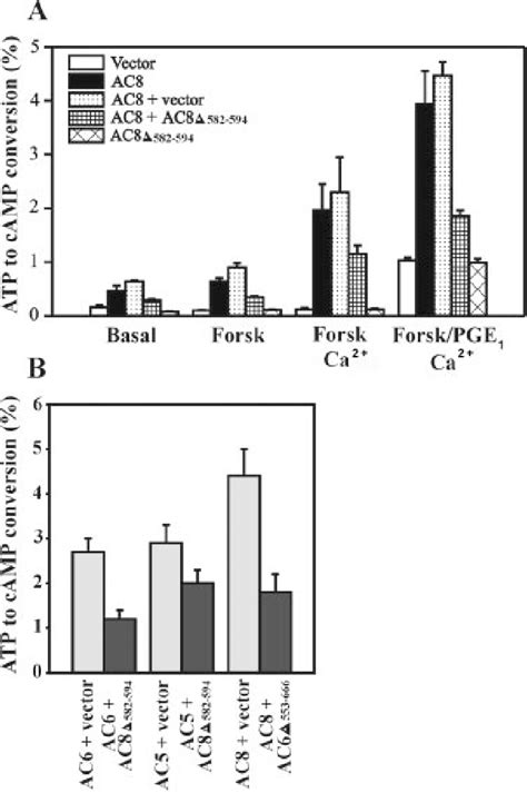 Suppression Of Adenylate Cyclase Activity By Inactive Mutants A Ac8