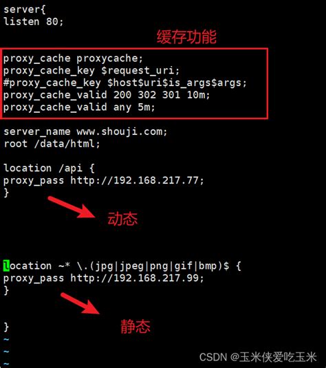 Nginx 反向代理 与缓存功能反向代理缓存 Csdn博客