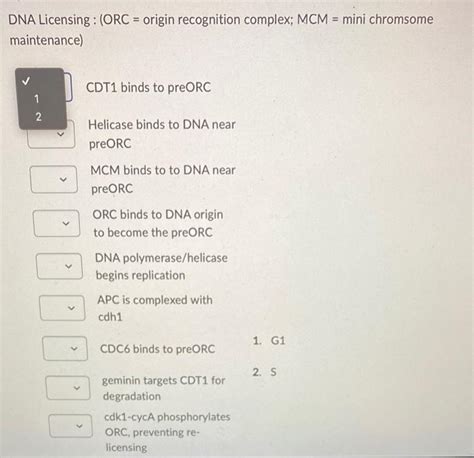 Dna Licensing Orc Origin Recognition Complex