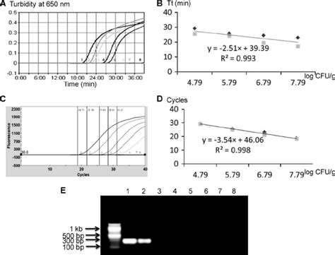Quantitative Detection Of Salmonella Enterica Serovar Typhimurium Lt2
