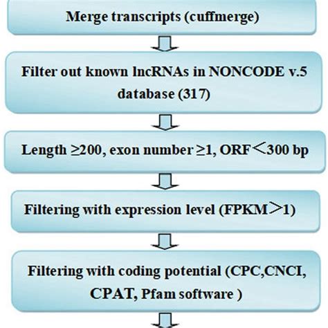 Informatics Pipeline For The Identification Of Lncrnas Download Scientific Diagram