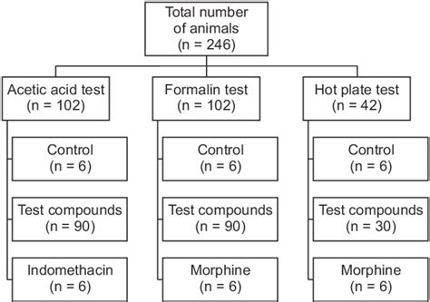 Flowchart Of Animals Grouping Download Scientific Diagram