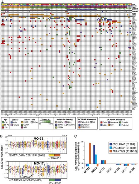 Validation Of The Ocp Using An Oncology Cohort Undergoing Molecular