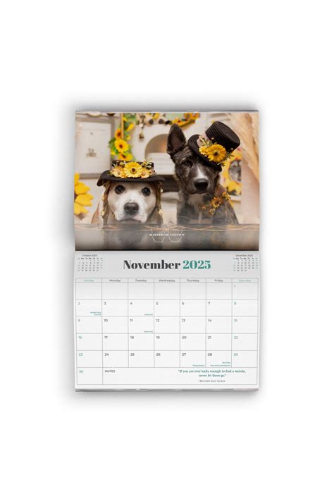Sookie And Ivy 2025 Wall Calendar Fox Chapel Publishing Co