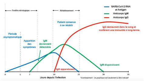 Covid 19 Sérologie — Laboratoire Danalyses Médicales à Paris