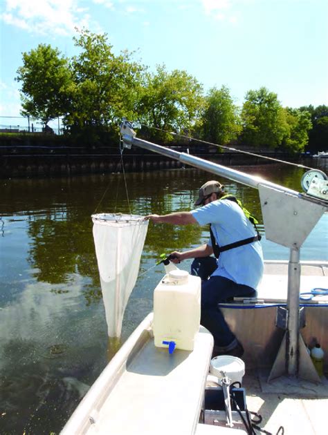 Photo Showing A Plankton Net Being Washed To Collect A Sample Of