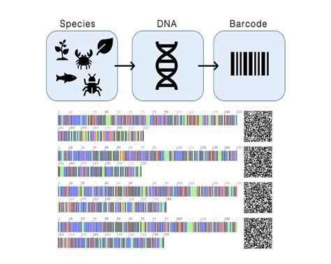 Cracking The Code Avisure