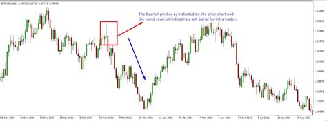 bearish pin bar candlestick pattern the forex geek