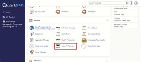 How To Clear PHP Processes In CPanel Couchdeck