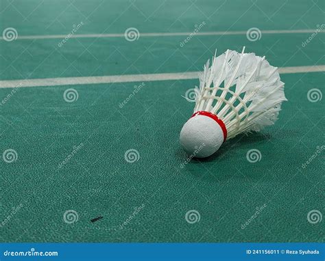 shuttle on badminton field stock image image of play 241156011