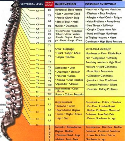 Chiropractor In Redmond Wa