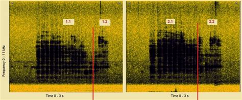 Detailed Spectrogram Of Chirps 1 And 2 Of Fig 1 Time Scale 0 3 S Download Scientific