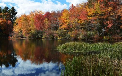 Town Of Tolland Visit Ct