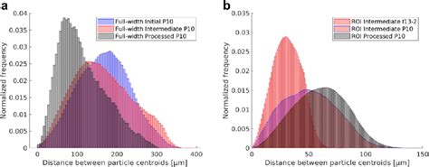Interparticle Distance Distribution For The Full Width A And The Roi