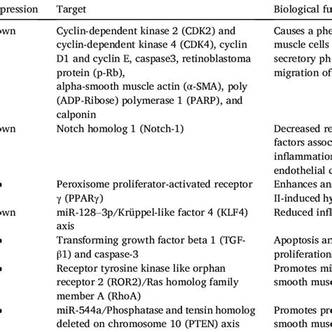 Long Non Coding Rnas Lncrnas Involved In The Pathogenesis Of