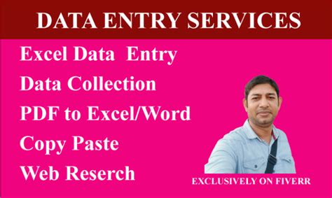 do excel data entry web research data mining copy paste by